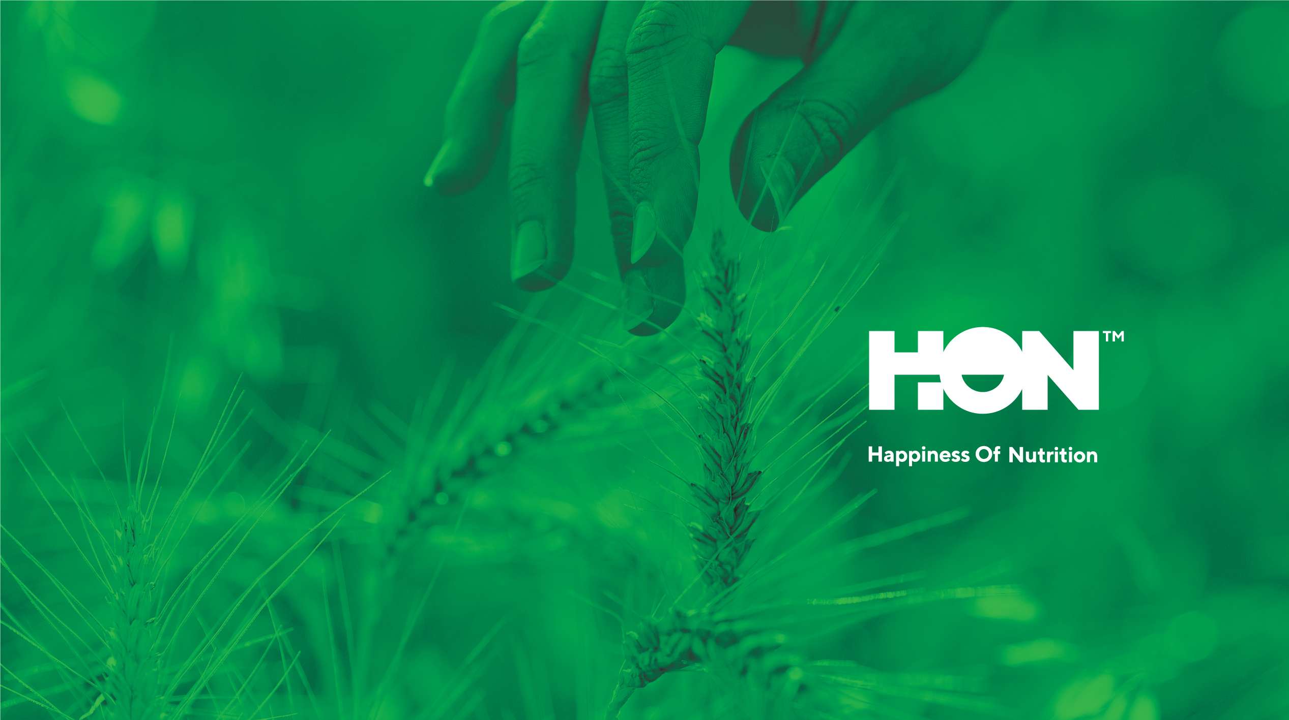 HONFOODS LLC – HONFOODS LLC started as a small passion project in a ...